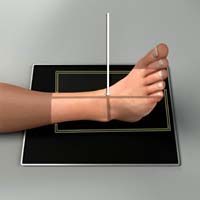 Calcaneus X-Ray Positioning: Complete Guide for Heel & Ankle Imaging ...