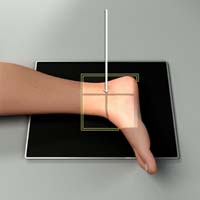 Calcaneus X-Ray Positioning: Complete Guide for Heel & Ankle Imaging ...